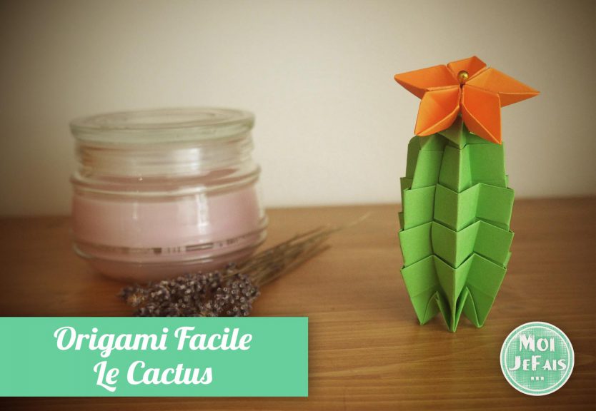 Origami cactus DIY - Les origamis faciles